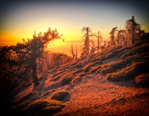 How To Show Depth In Landscapes | PhotoNaturalist - nature photography ...