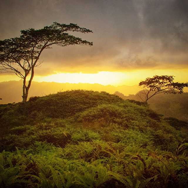 Nature photography tips and tutorials - PhotoNaturalist